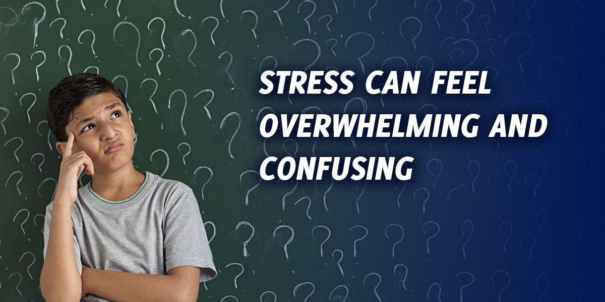 STRESS CAN FEEL OVERWHELMING AND CONFUSING | Indus Valley International ...