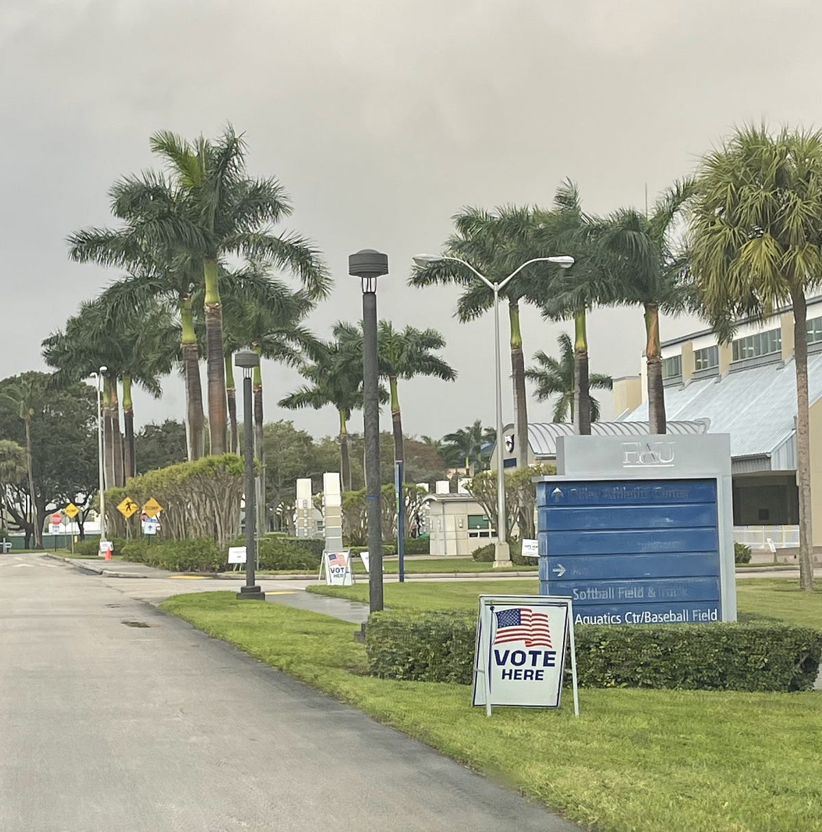 Florida’s Amendments Lured Legions of Voters to Polls | by Lauren ...
