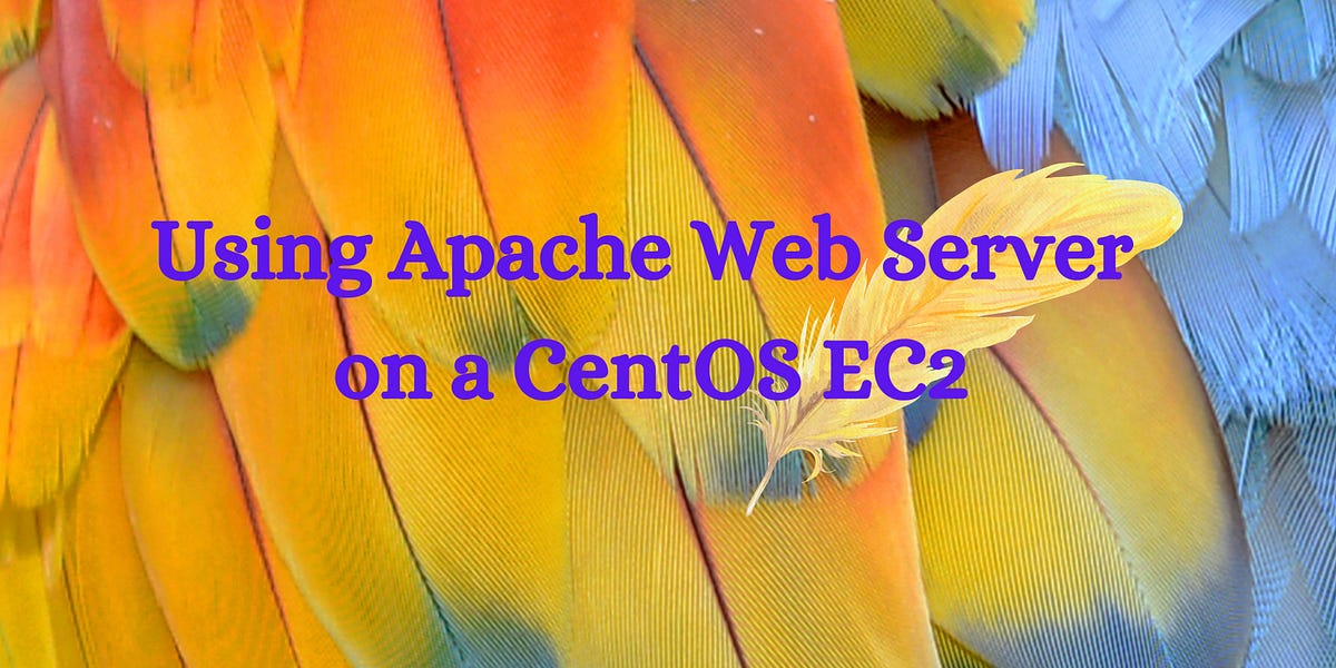 Using an Apache Web Server on a CentOS EC2 | by Vanessa Gomez | Mar, 2024 | Medium