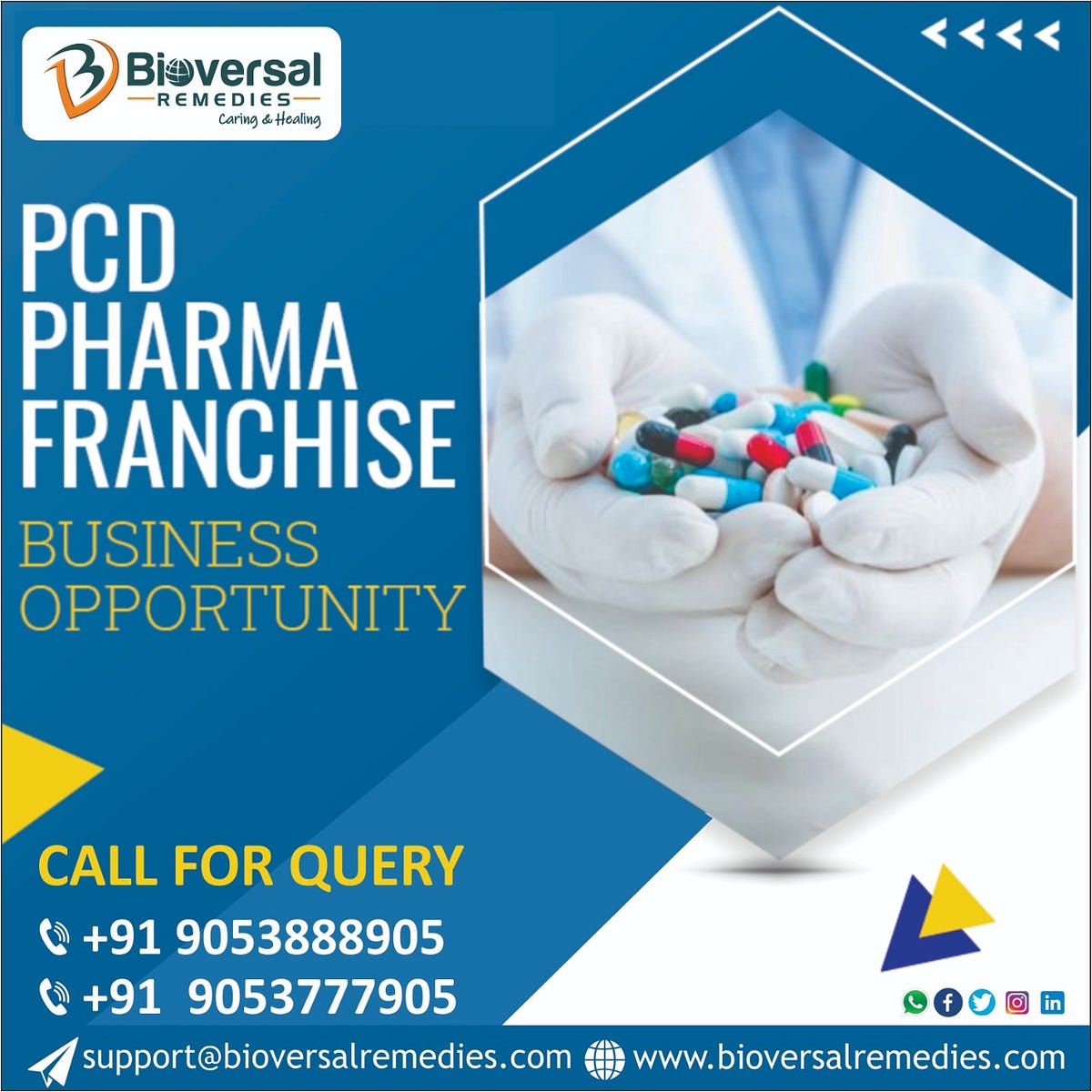 PCD Pharma Franchise - Bioversal Remedies - Medium