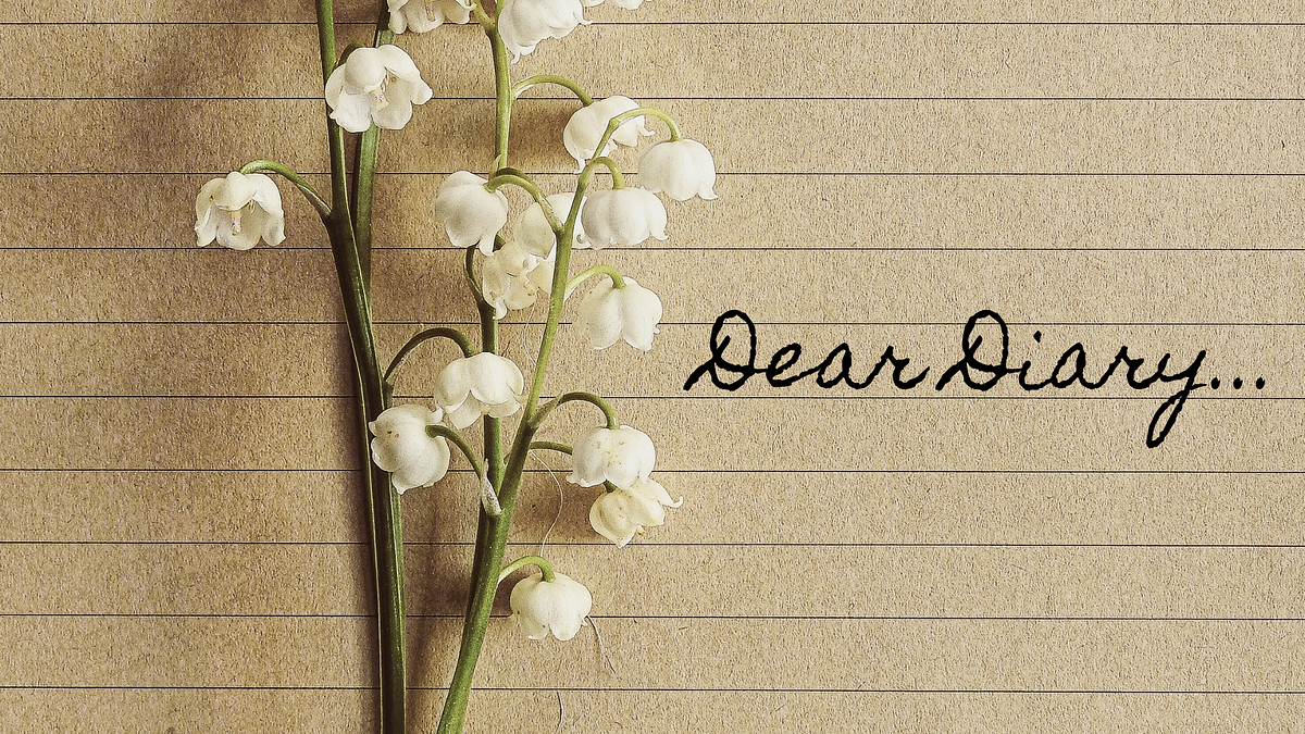 Dear Diary, Who Are You?. What I learned after a decade of… | by Tanvi ...