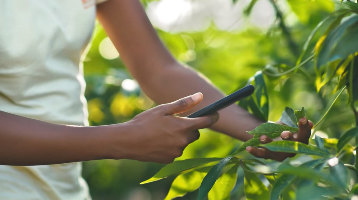 Compression in the AI world: MobileNets, Pruning & Quantisation | by ...