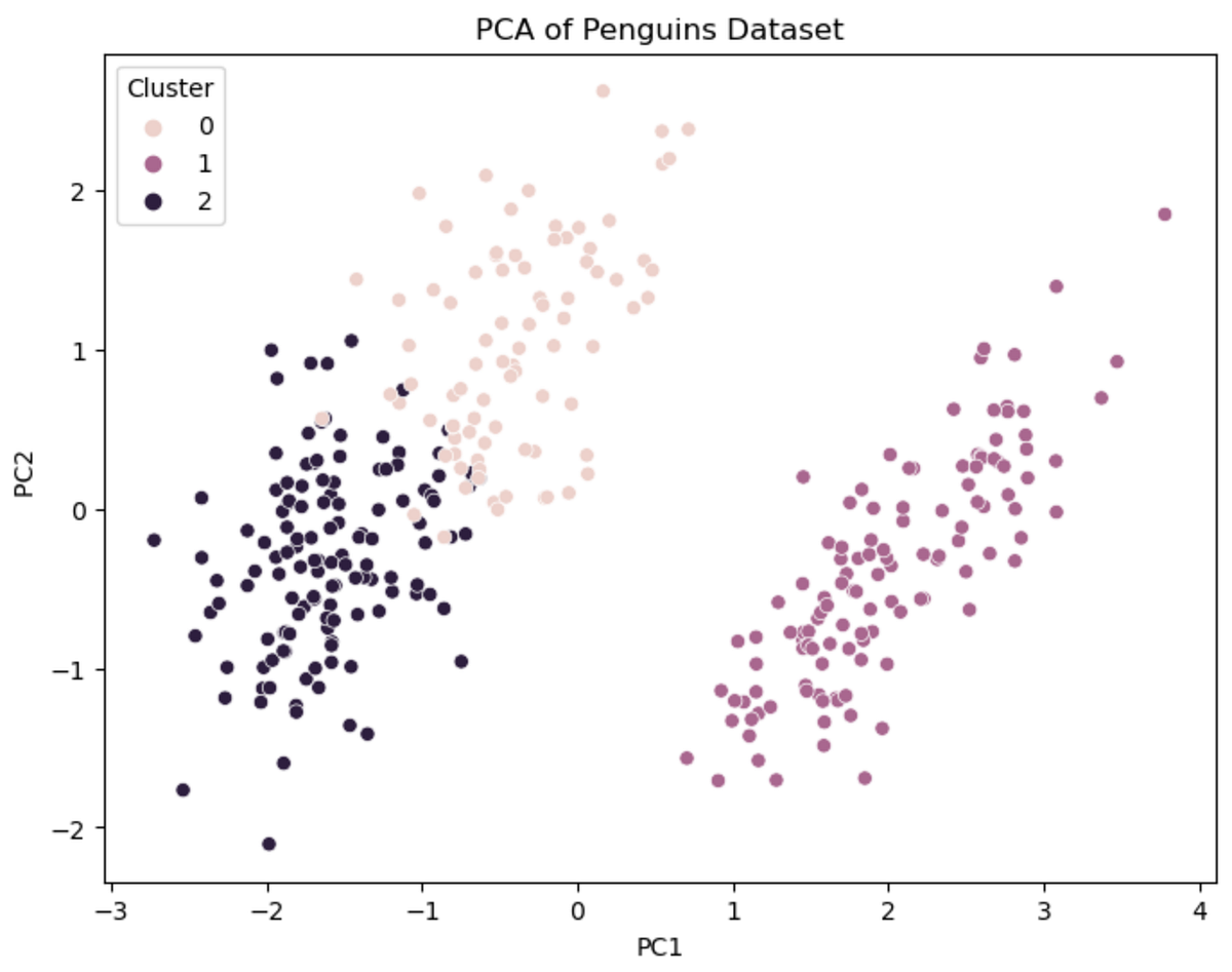 Clustering Penguin Species. Introduction | by aubrahme | Medium