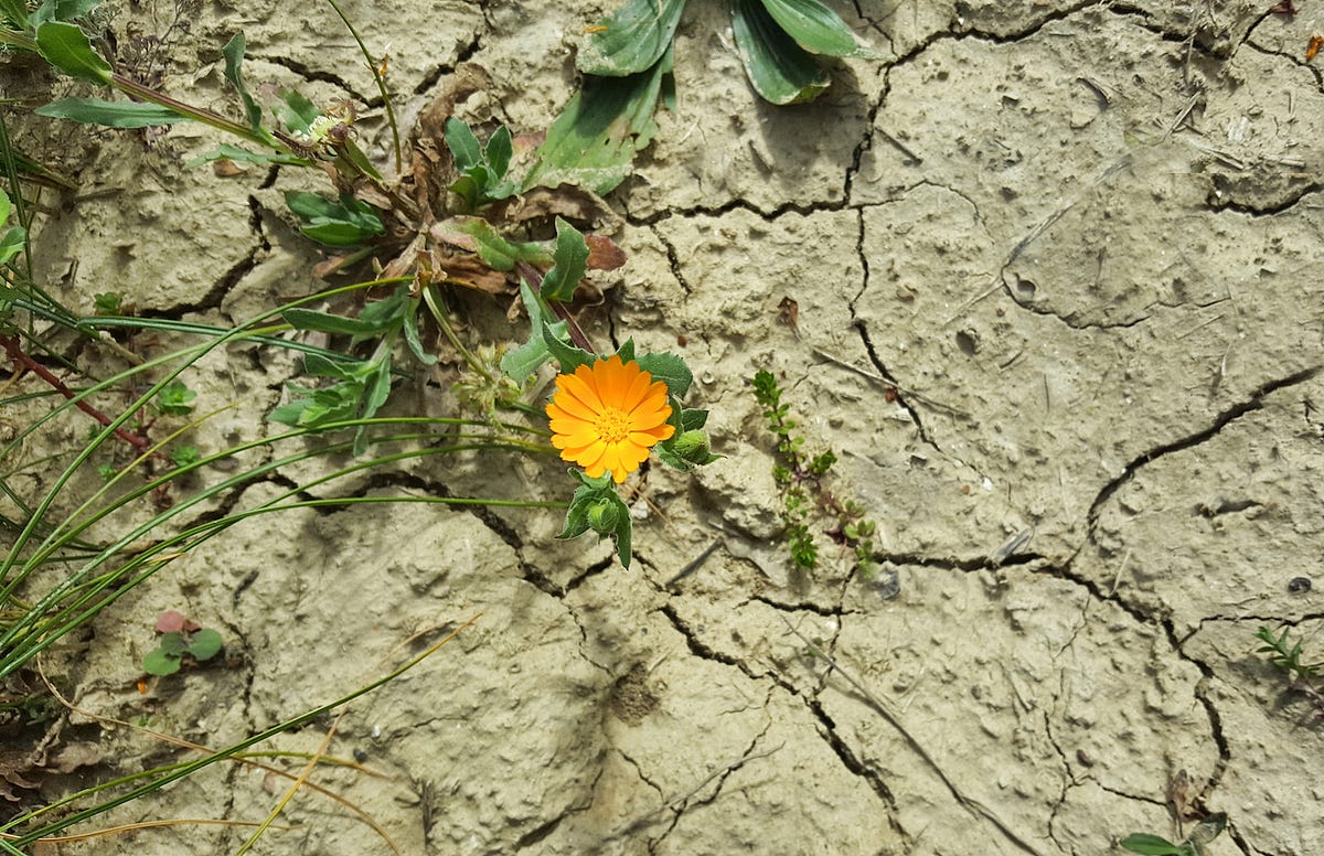 7 Ways To Be Resilient in the Face of Fear | by Katie Couric | Wake-Up ...