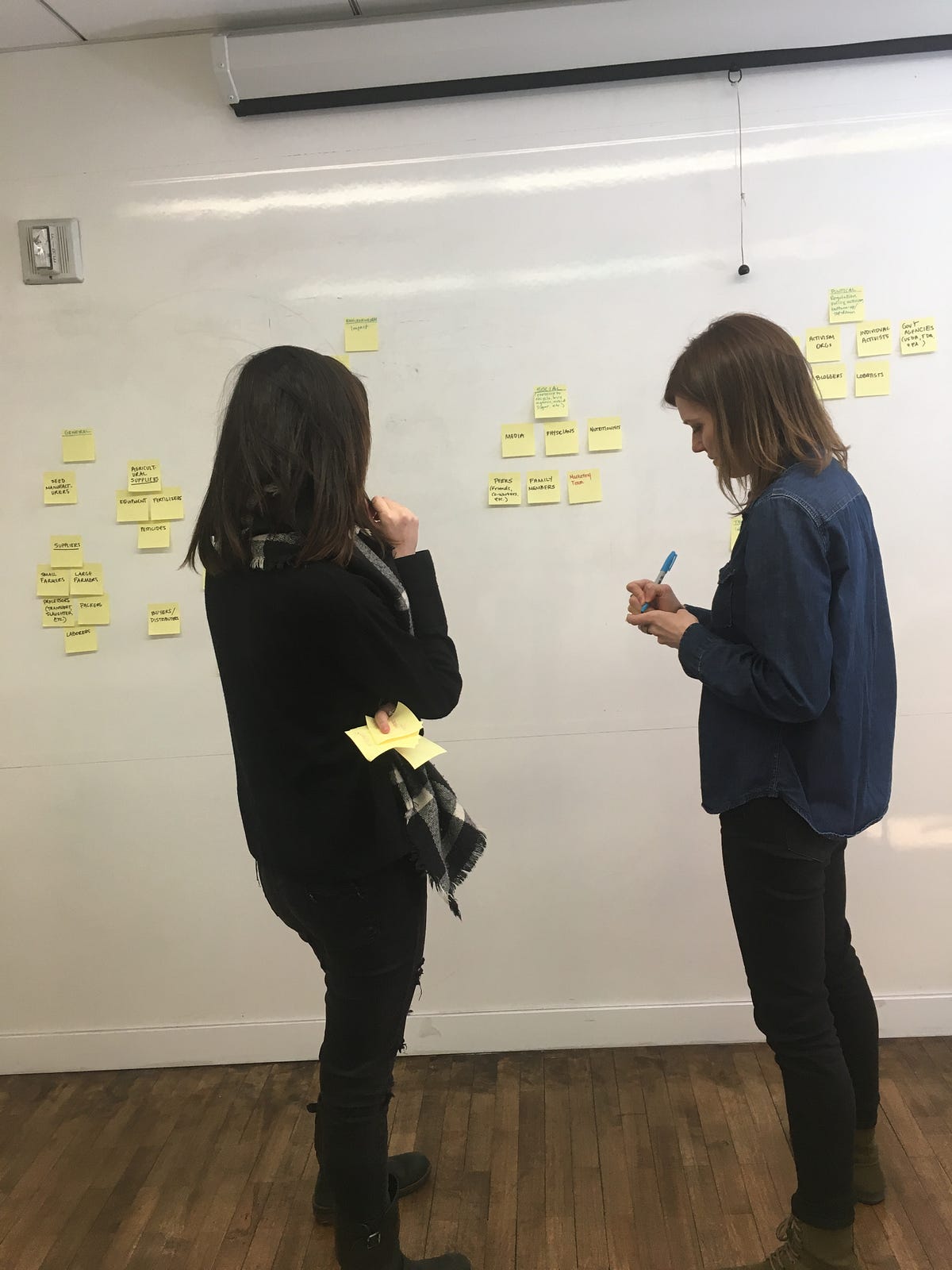 We have lift off!. Our thesis team met to try and scope… | by Danielle ...