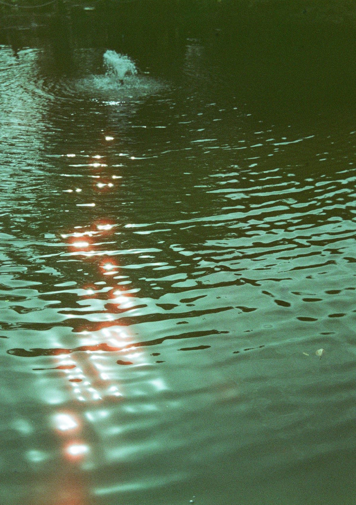 ripple theory. every choice we make sends a quiet… | by jai | Oct, 2025 ...