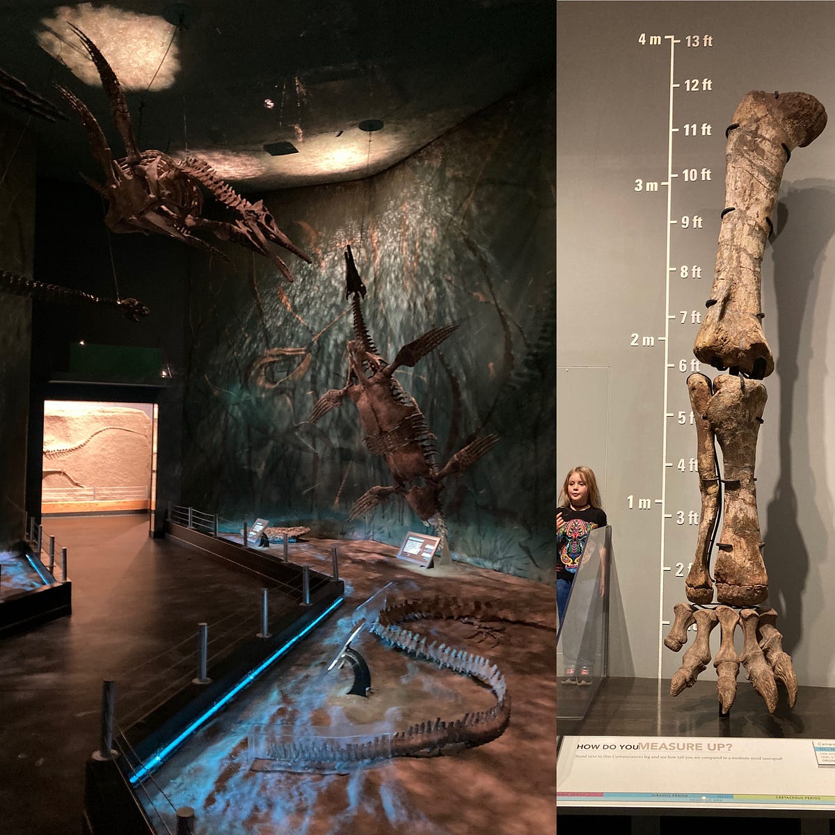 Dinosaur Capital of the World you say? | by 'W'HolisticNerd | Medium