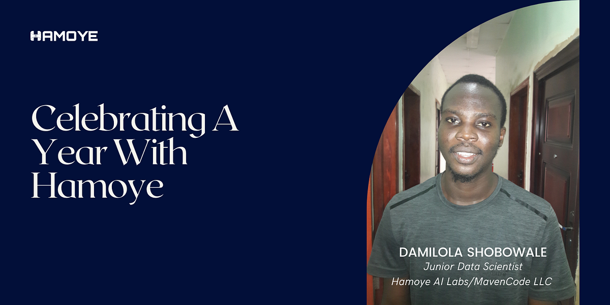 Celebrating A Year With Hamoye. Conversation with Damilola Shobowale ...