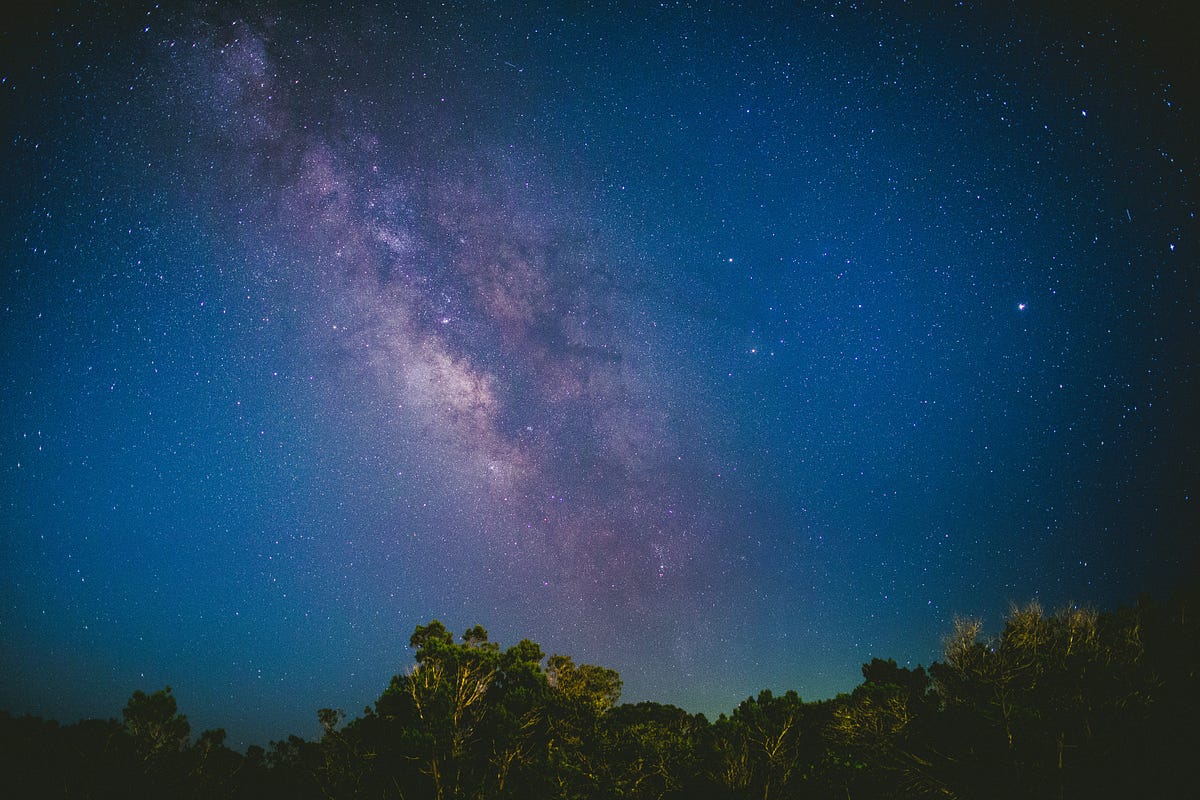 Async In Vuejs Part 2 Lets Create A Random Cocktail App By