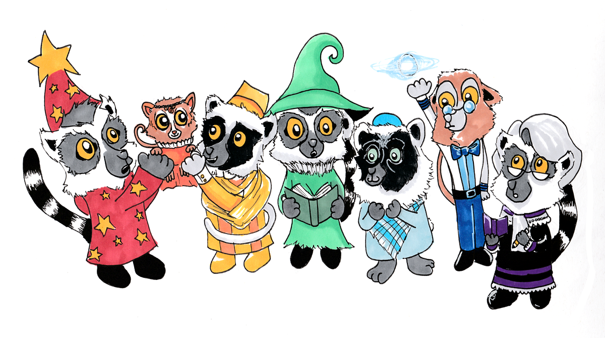 The Developer Spectrum. What started with a “Black Magic” Lemur… | by ...