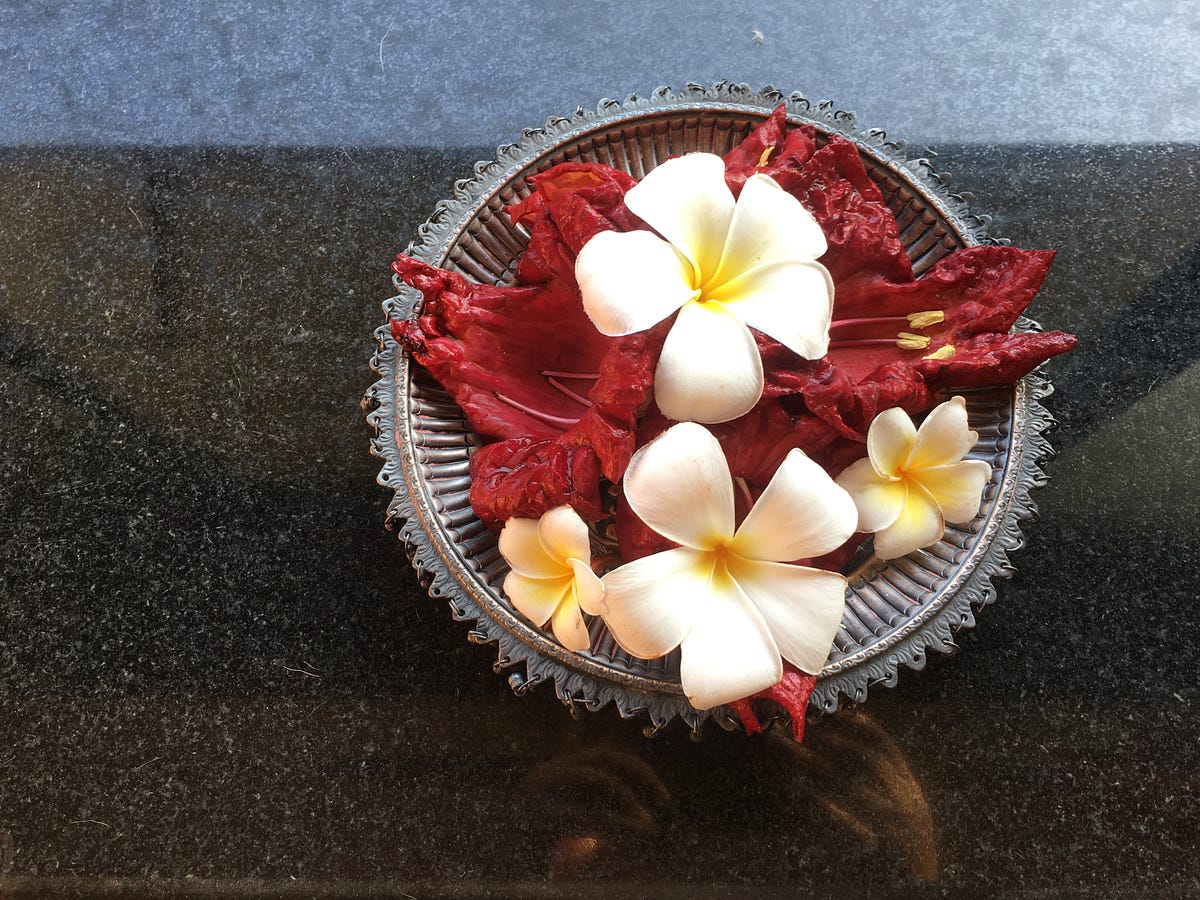 Champakali. I usually buy flowers for the house and… | by Sancha | Medium