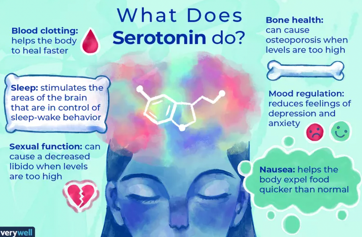 The Biochemistry of Serotonin. Functions, Medical Implications, and… | by Lloyd Sparks | Medium
