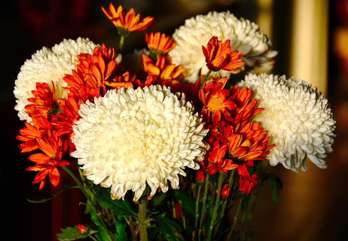 How to use mums flowers?. Do you want your wedding to be bright… | by ...