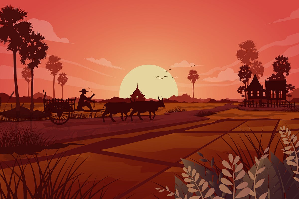 Adobe Illustrator: A Valuable Tool for Professional Design and ...