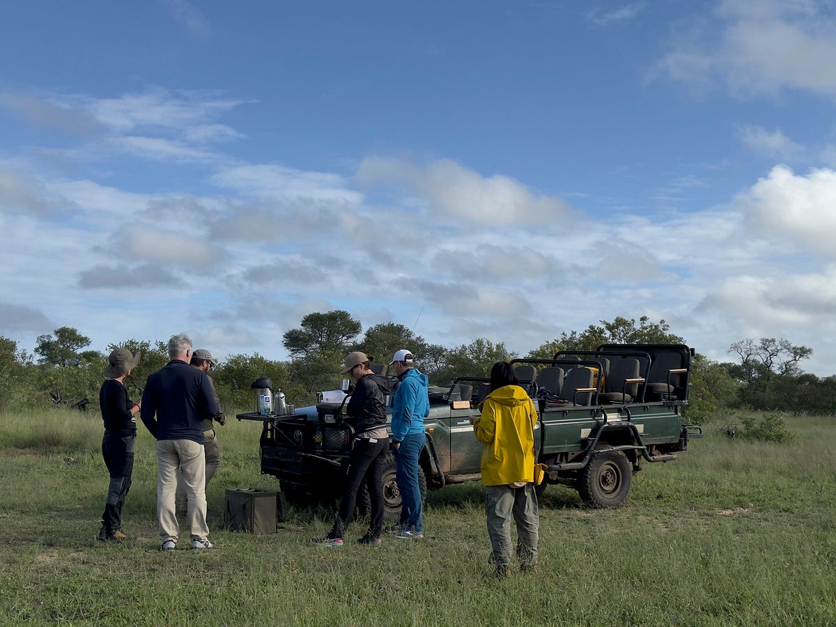 Embrace the Unrepeatable Beauty of Safari | You never have the same ...