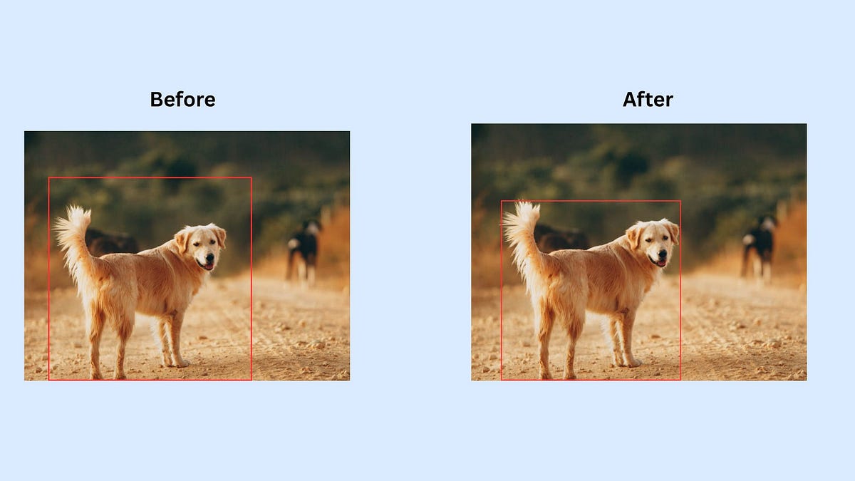 Fixing Loose Bounding Boxes: A SAM-Powered Approach for YOLO Datasets ...