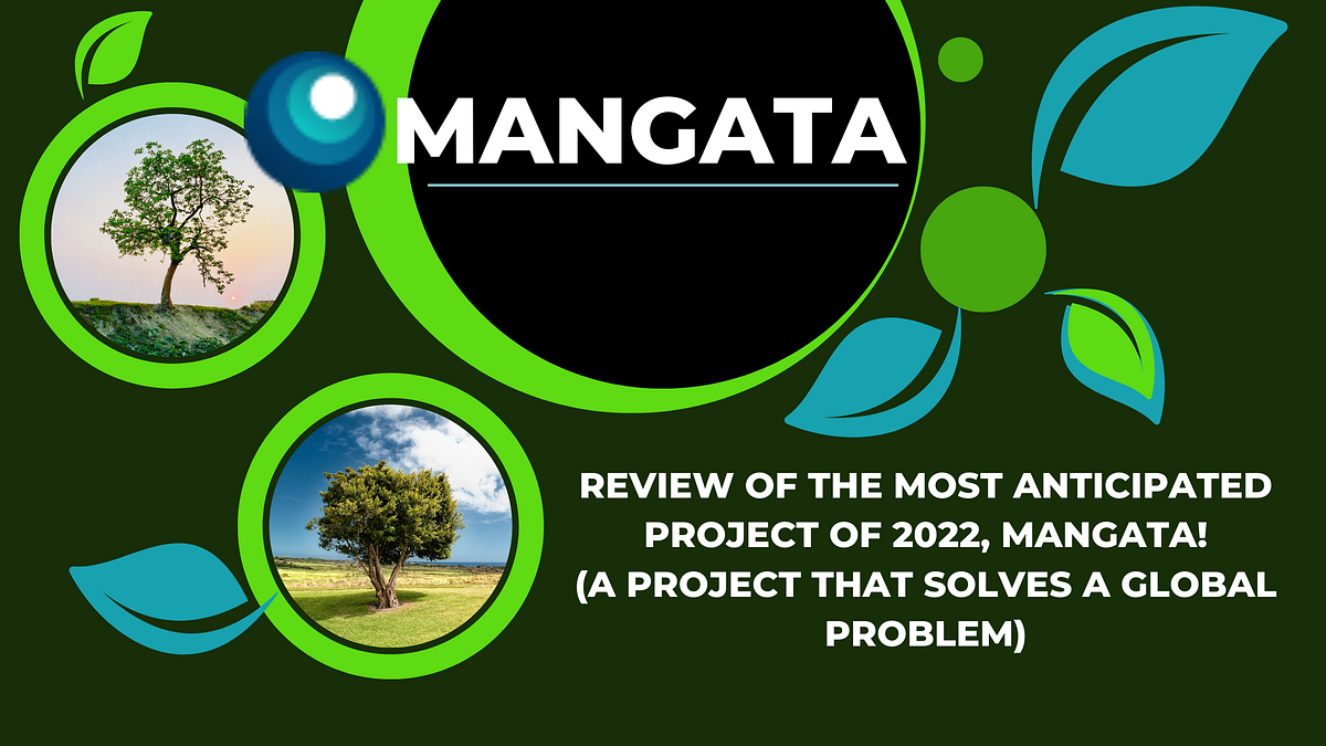 💻Review of the most anticipated project 2022, MANGATA! (a project that ...