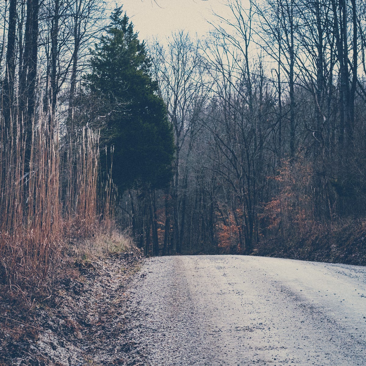 Joy.. Why is any level of joy for me so hard… | by Tim Bindner | Medium