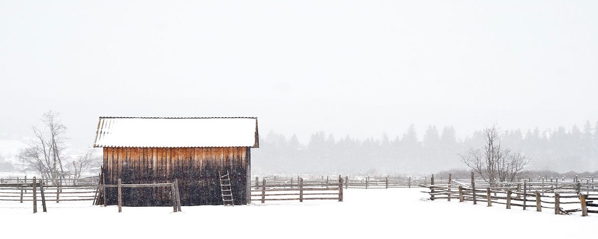 And so it begins….. Like many, I’ve dreamed about being my… | by ...