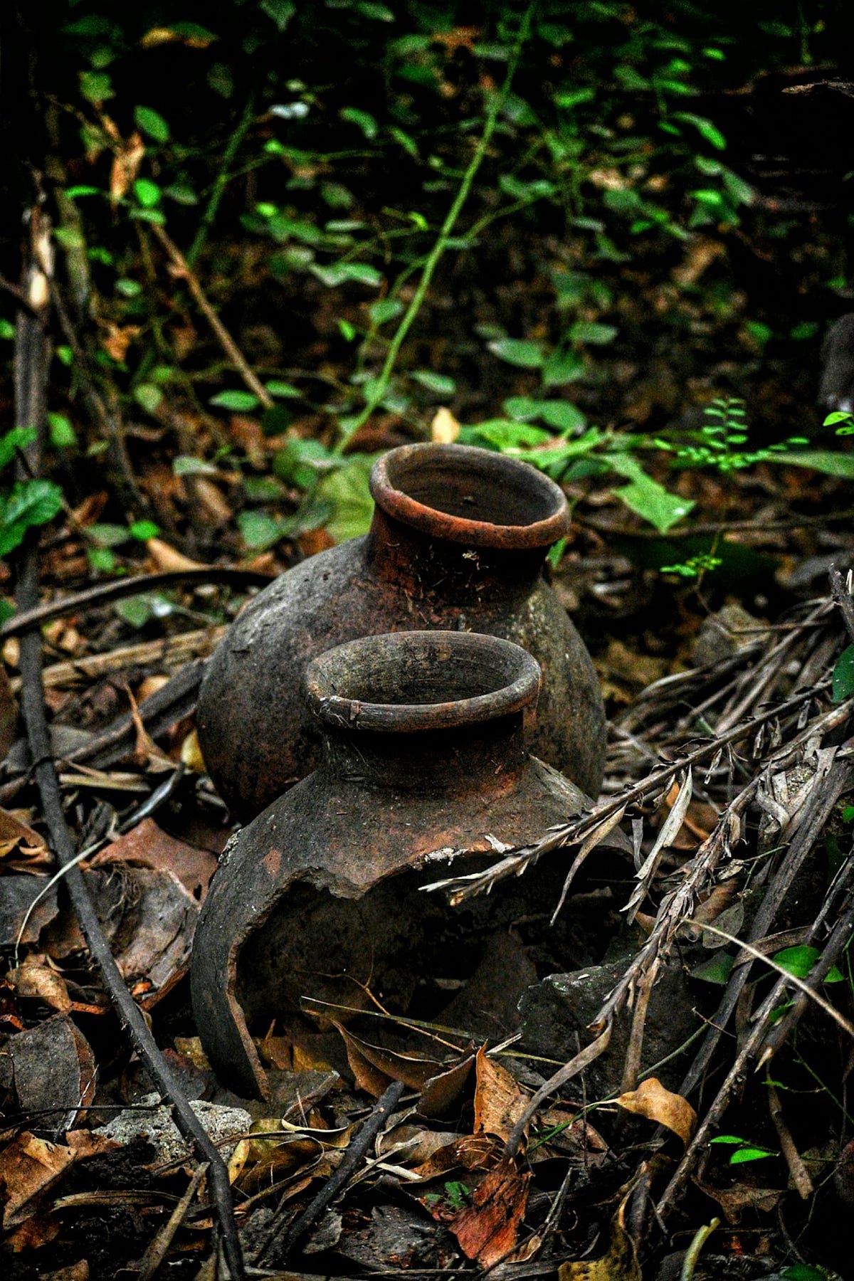 The Pot Breaks at the Doorstep: The Wisdom of an African Proverb | by ...