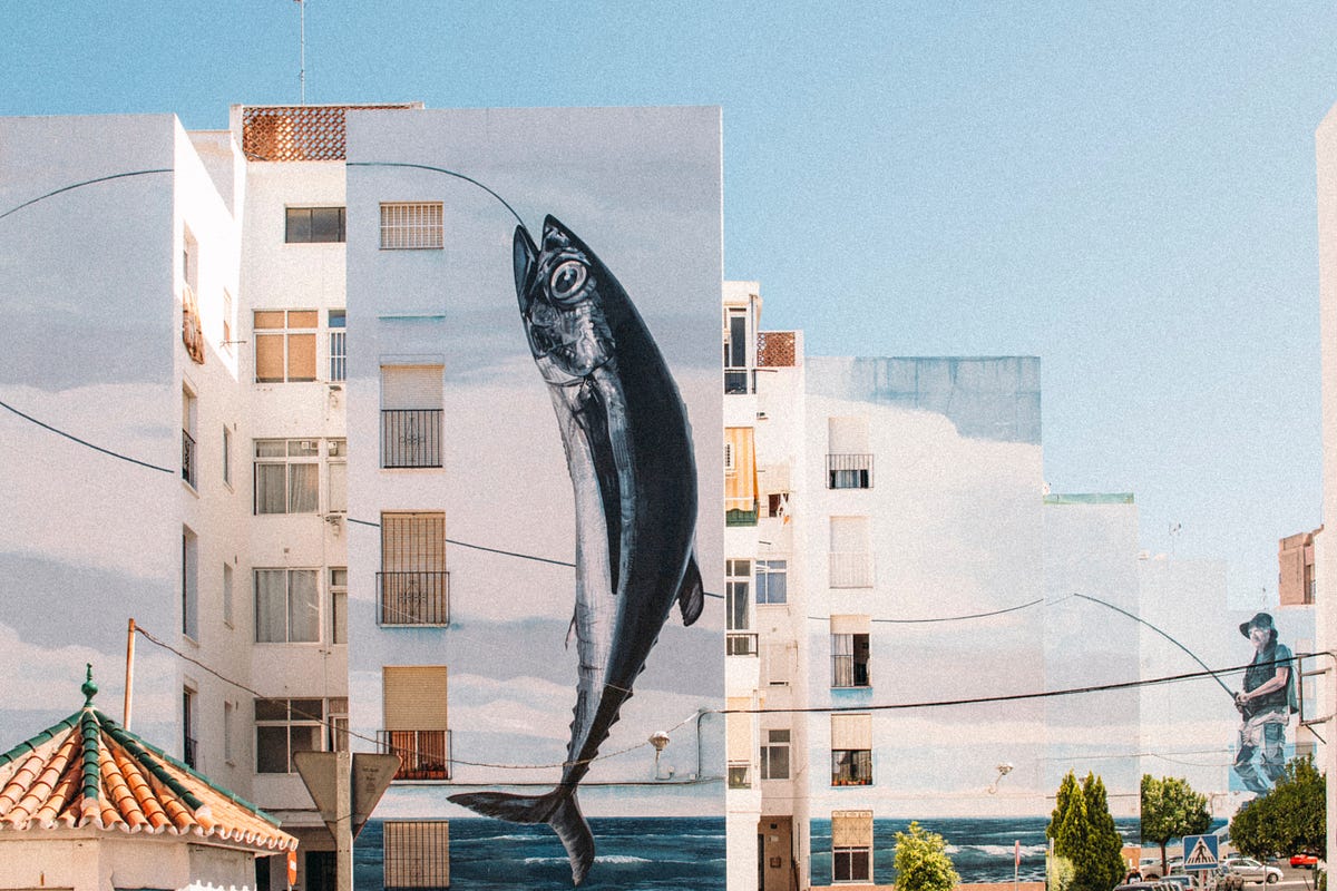 A Look at Tuna Species. Bryan Tornee, a graduate of Farmingdale… | by ...