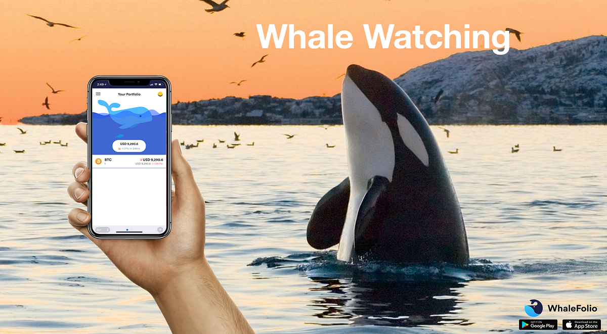 Watch your crypto holdings grow to Whale proportions from Whalefolio ...