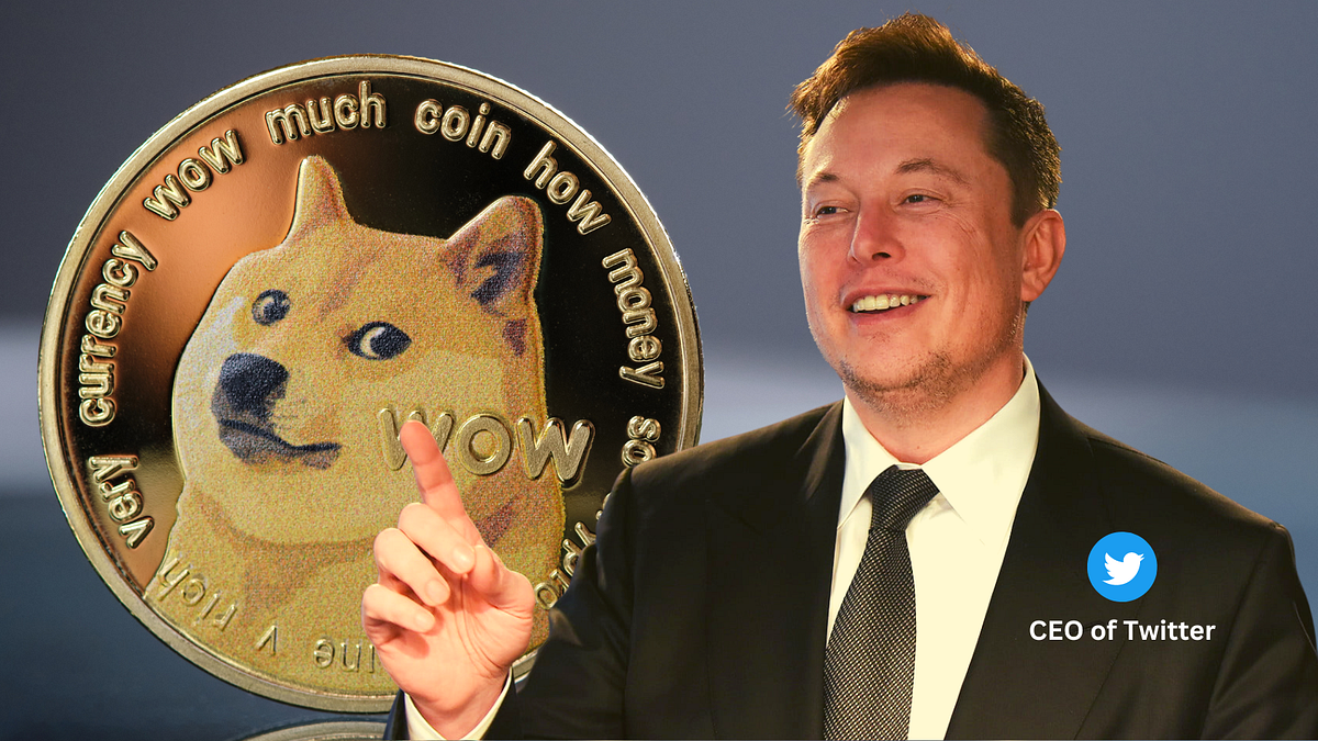 Elon Musk Just Confirmed That Dogecoin Will Become Twitter’s Currency! | by Crypto Hub ...