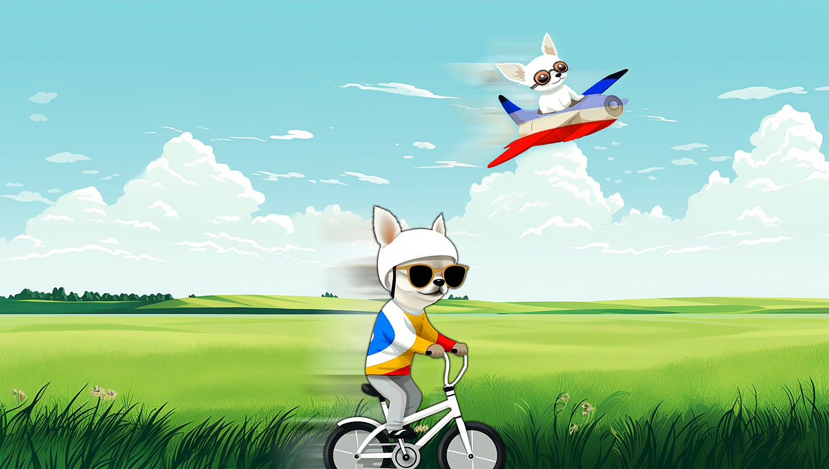 Soaring with Velodrome: A Touchdown at Aerodrome | by Basic Dog Meme ...