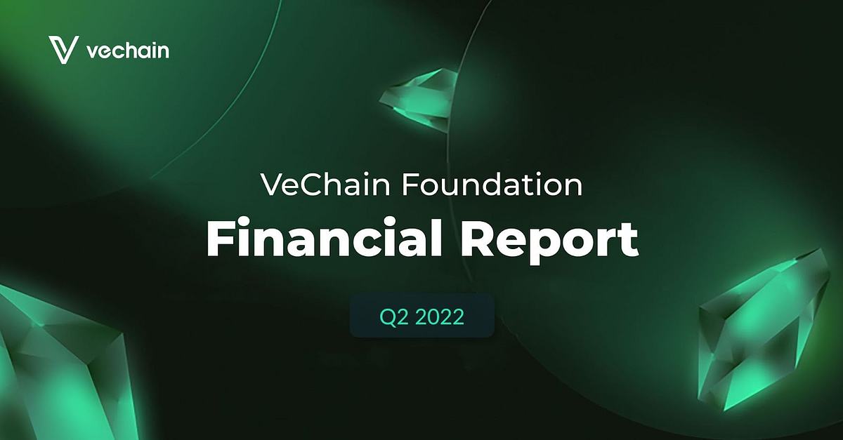VeChain Foundation Financial Report Q2 2022 | by vechain | VeChain Foundation | Medium