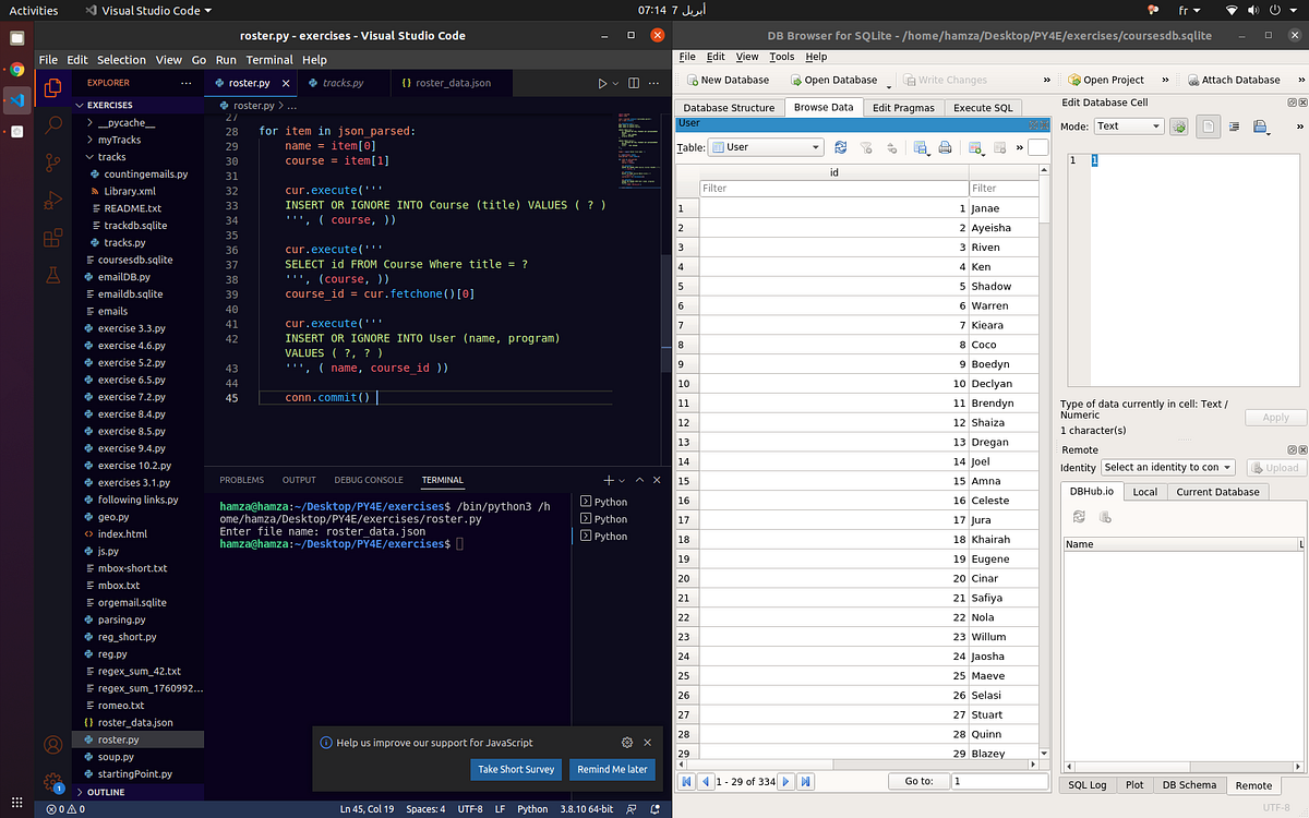 Python For Everybody Data Visualization - Hamza Errechydy - Medium