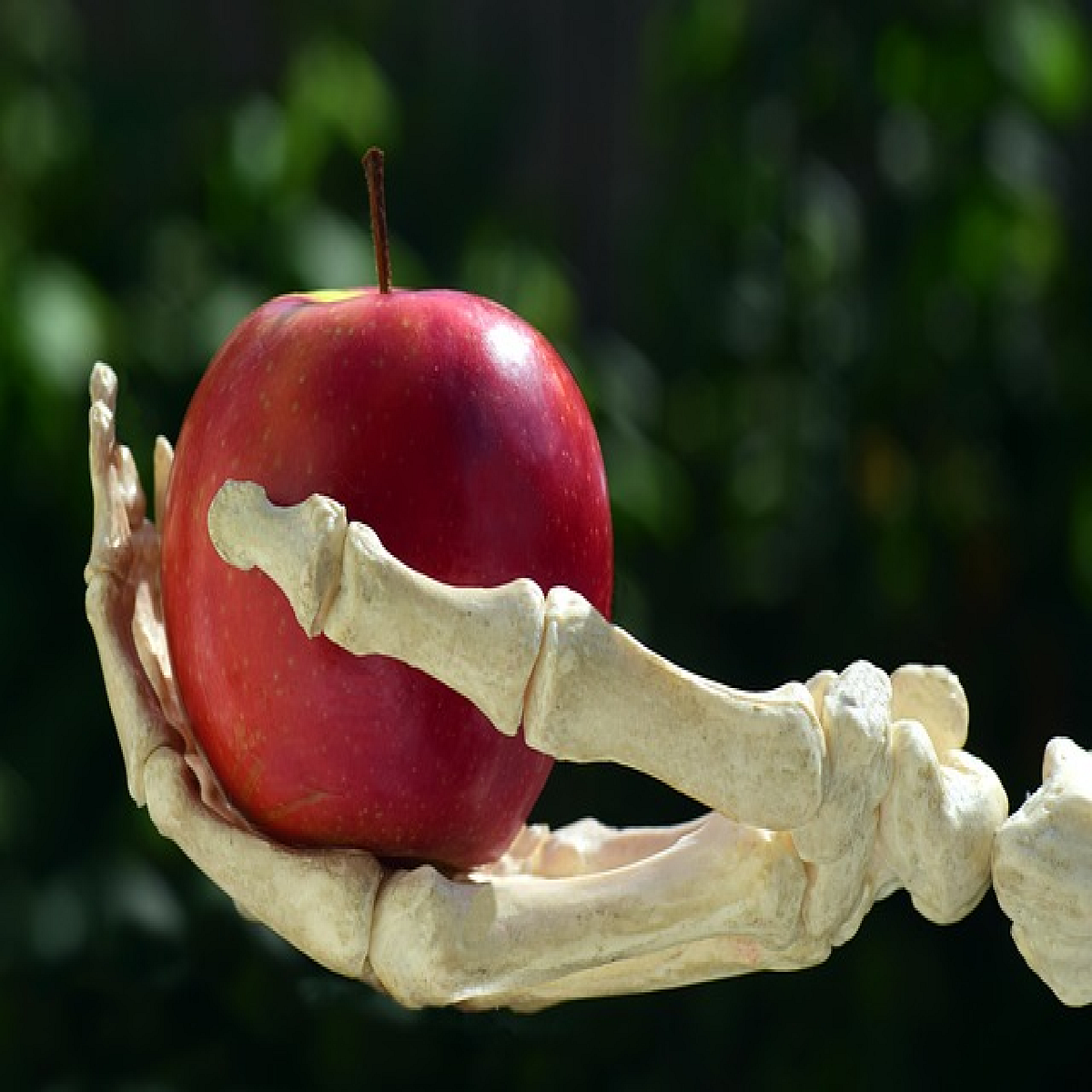 Bone Density Disease.. Introduction | by Information On Arthritis Linda ...