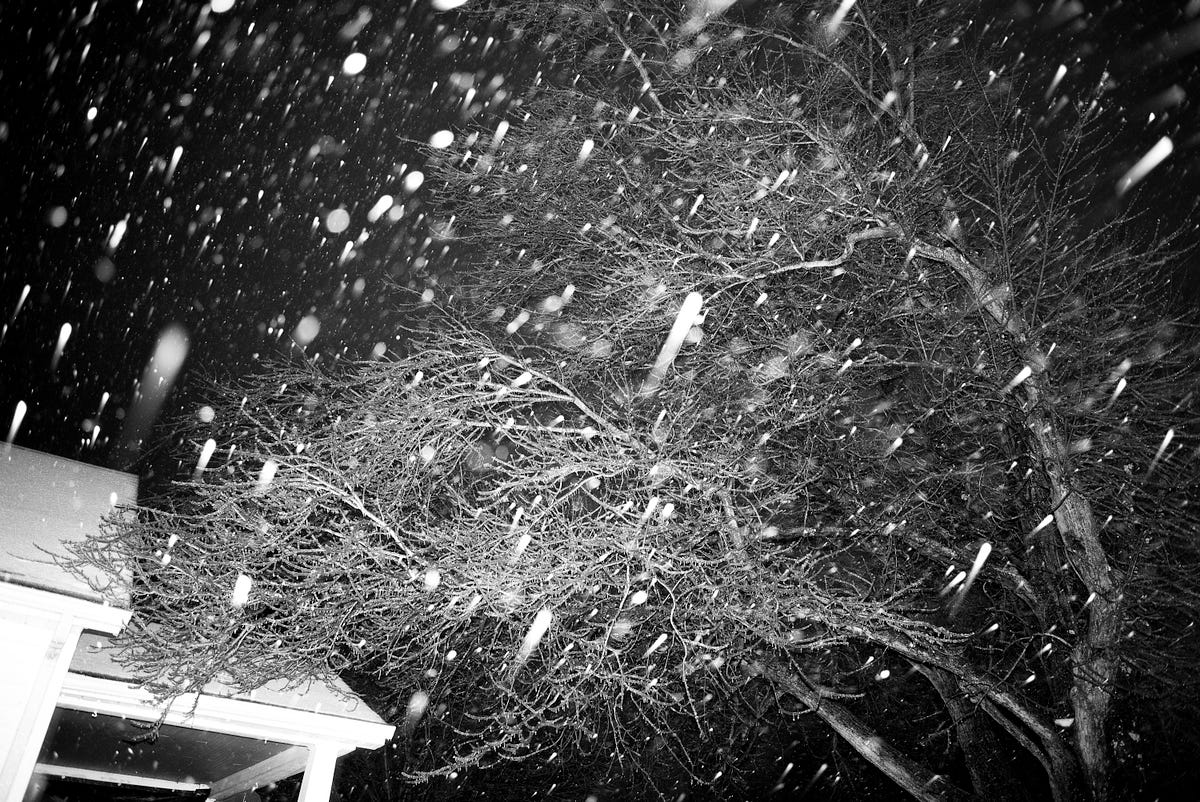 Ice Storm is in Effect - Skye - Medium