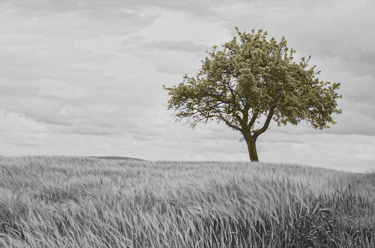Decision Tree Classification In Python With Scikit Learn By Dhiraj K Heartbeat