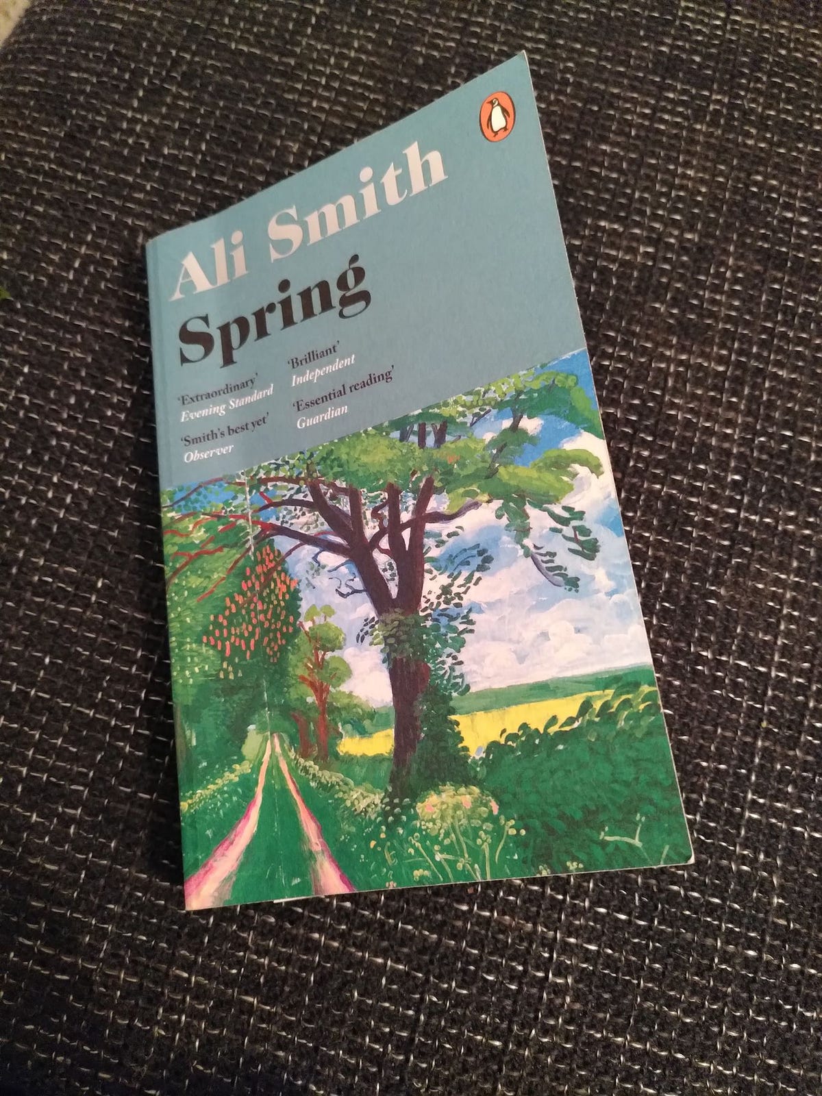 I read Ali Smith’s Spring in an afternoon… | by Emily English | Medium