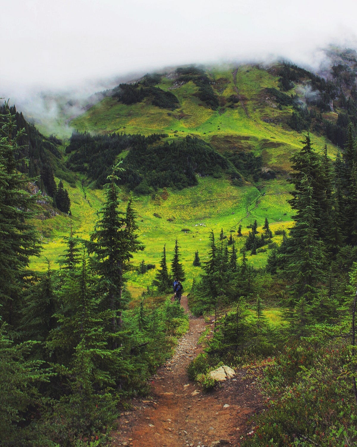 A Visual Approach to Gradient Descent and other Optimization Algorithms ...