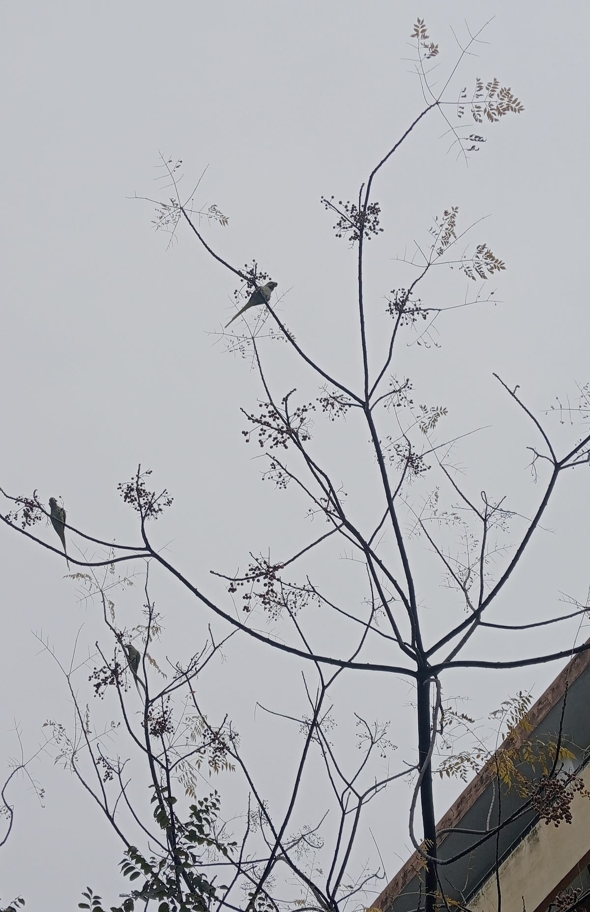 I wish.. - Prachi Gupta - Medium