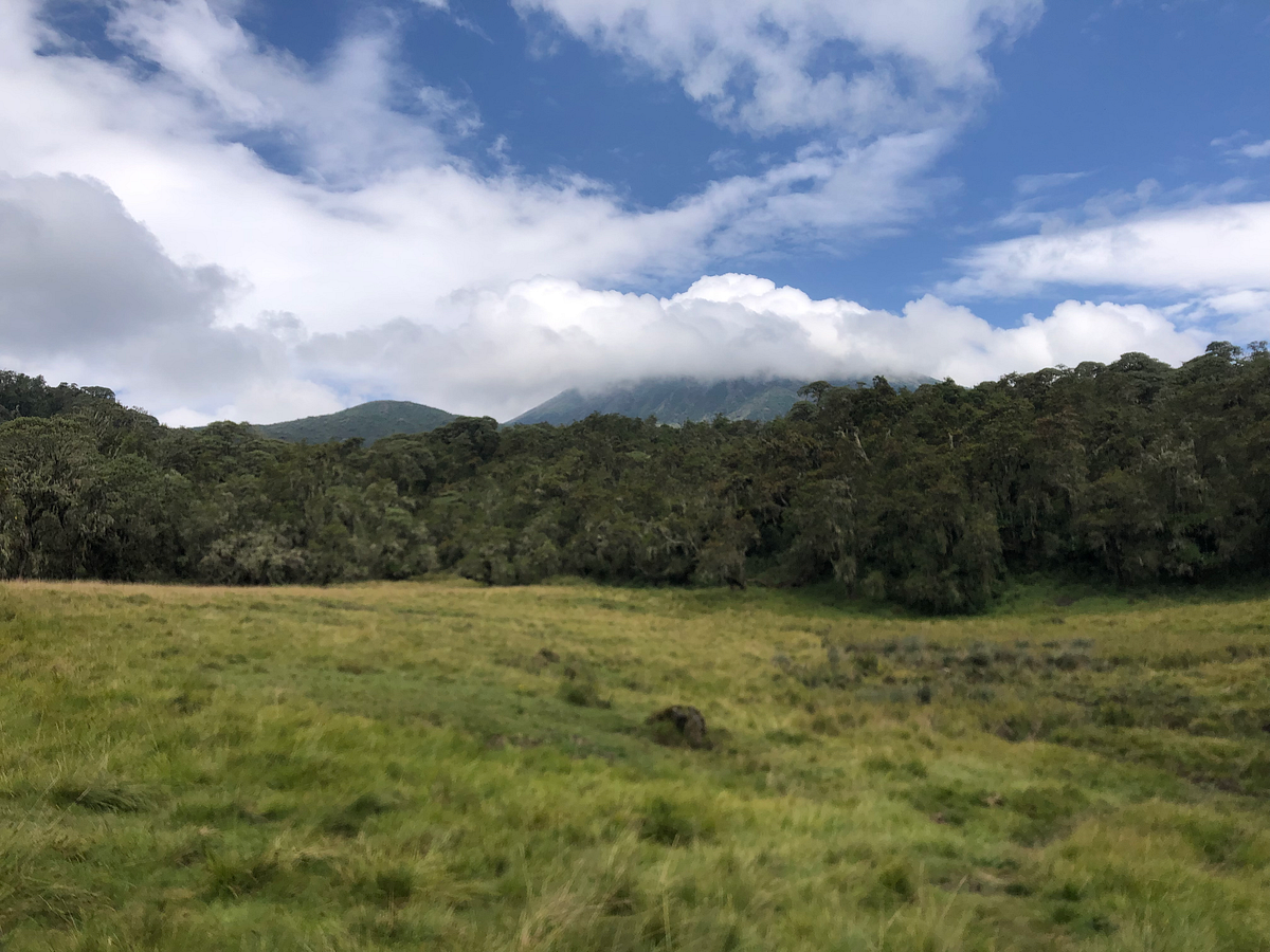 Climbing Rwanda’s highest peak: Mount Karisimbi (4507) | by Jesse ...