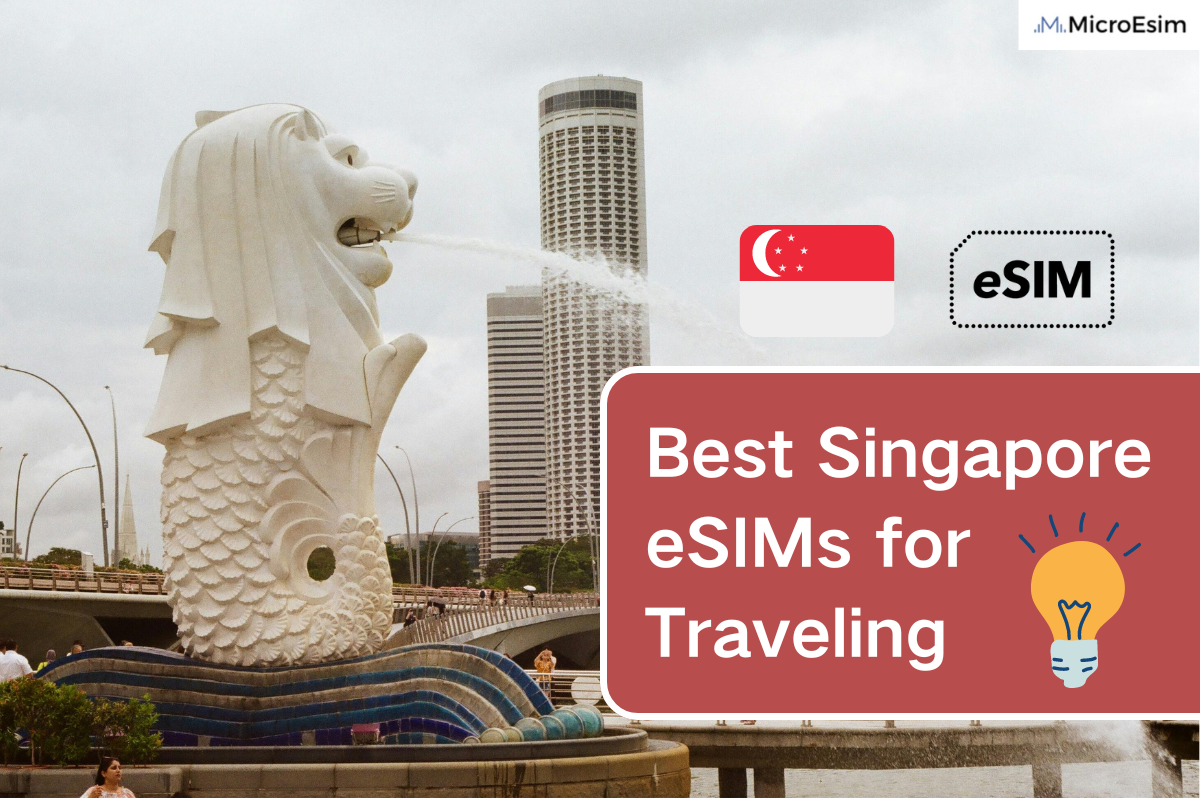 Best eSIMs for Singapore - eSIM Voyager - Medium