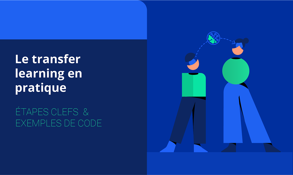 Le transfer learning en pratique — étapes clés et exemples de code | by Owain Biddulph | neoxia ...