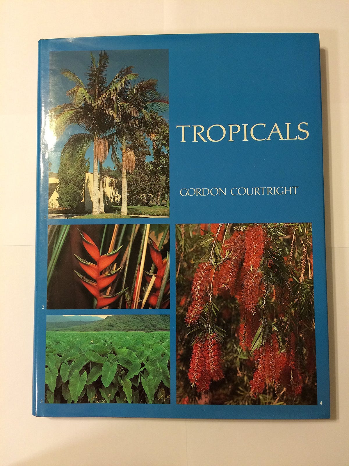 [READING BOOK] Tropicals. Backed Reasons to Read a (Real) Book… | by ...