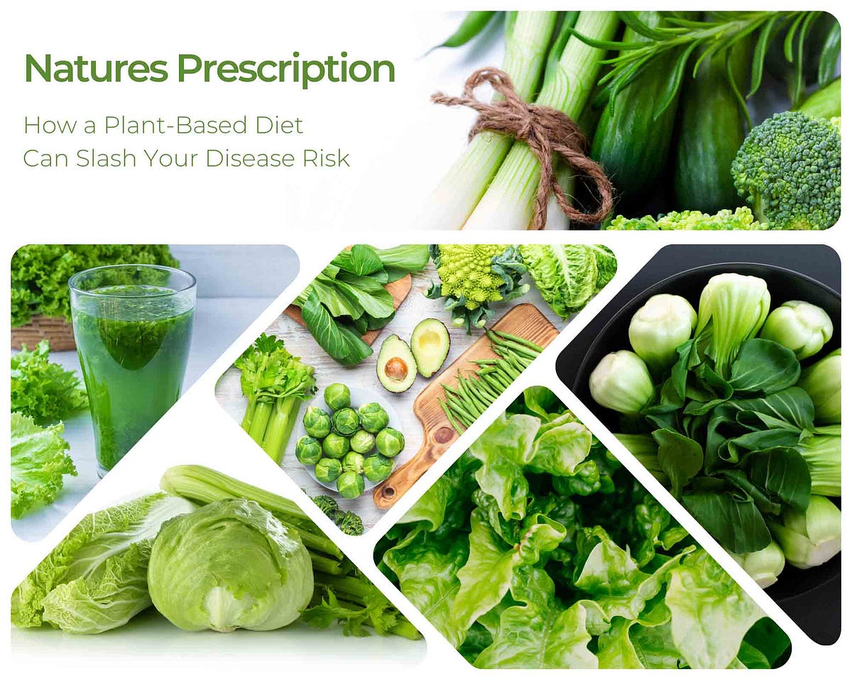 The Health Benefits of a Plant-Based Diet: Lowering Your Risk of Disease | by Humane Foundation ...