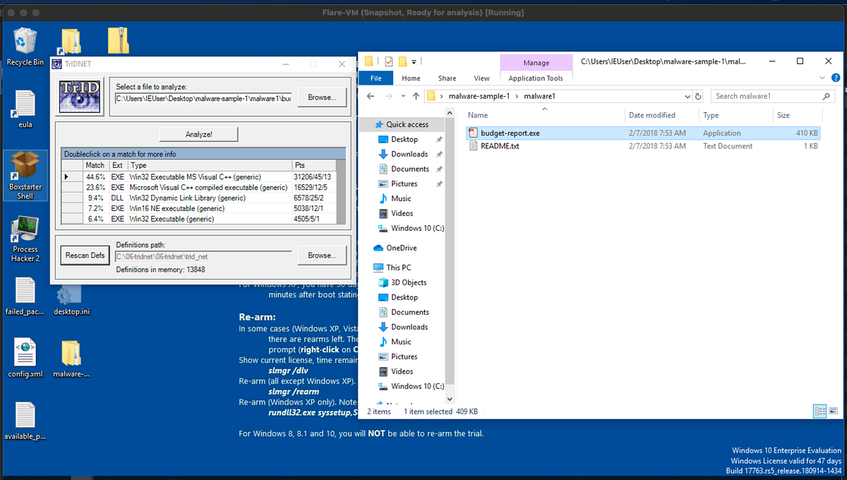 Malware Analysis Walkthrough (HomeLab): Static/Dynamic analysis with ...