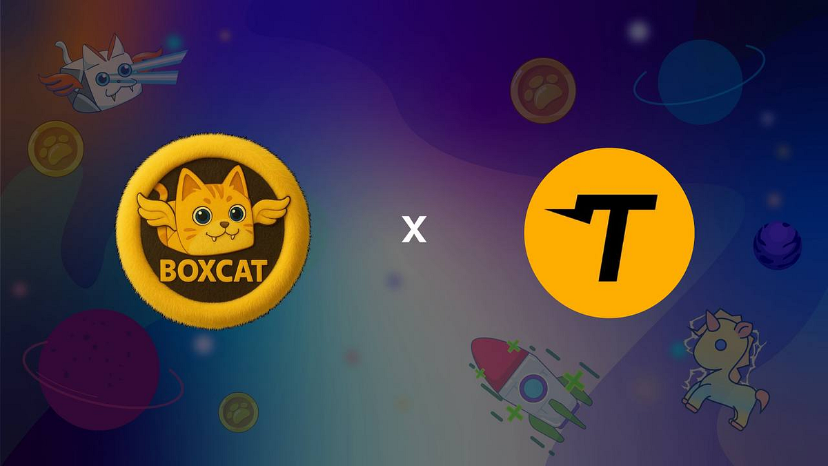Meowww🐱A powerful alliance is here with $TUT💛 - Boxcat - Medium