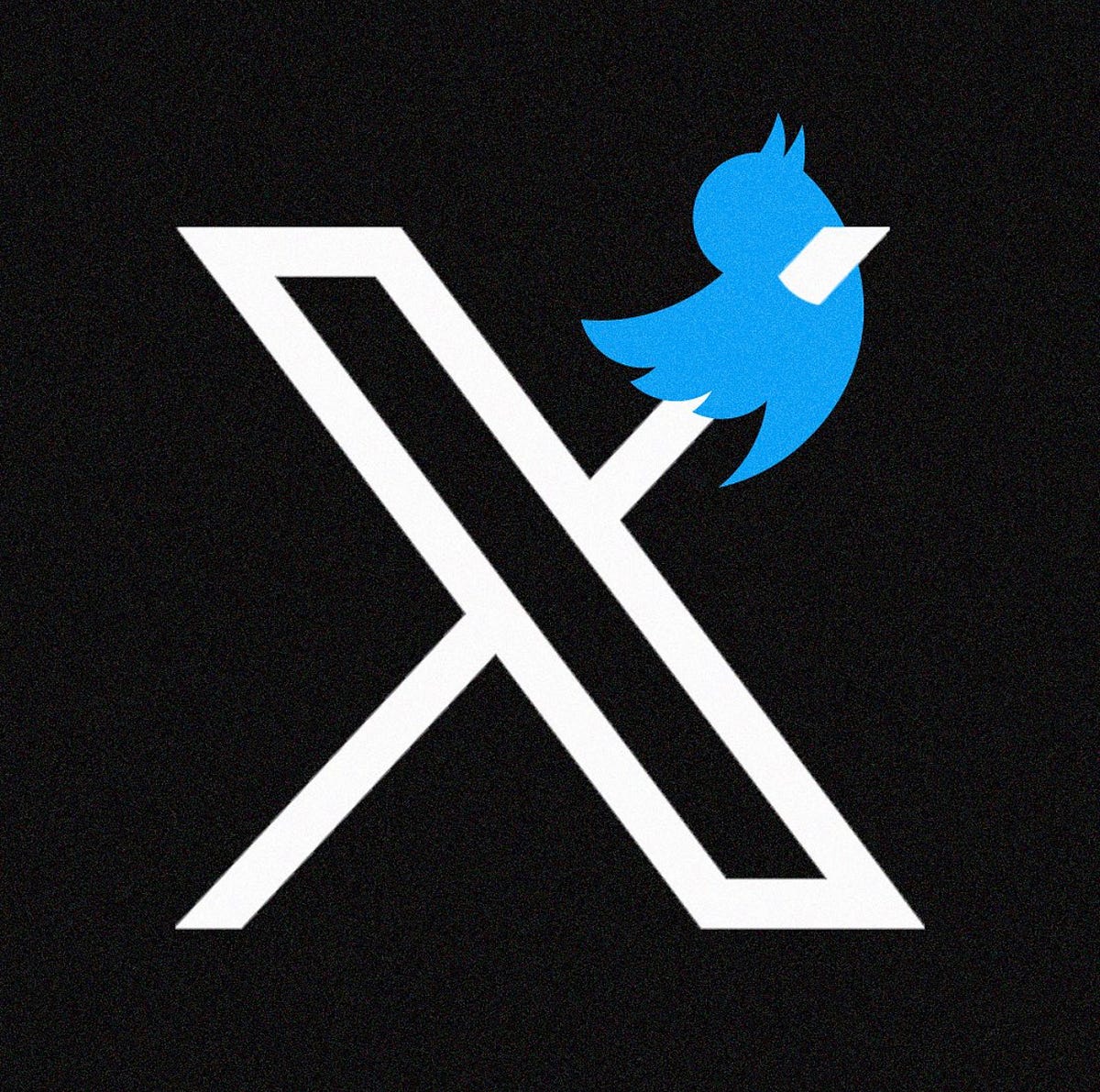 X Marks… What?. Twitter is dead — Long Live X? | by KnownUnknown | Medium