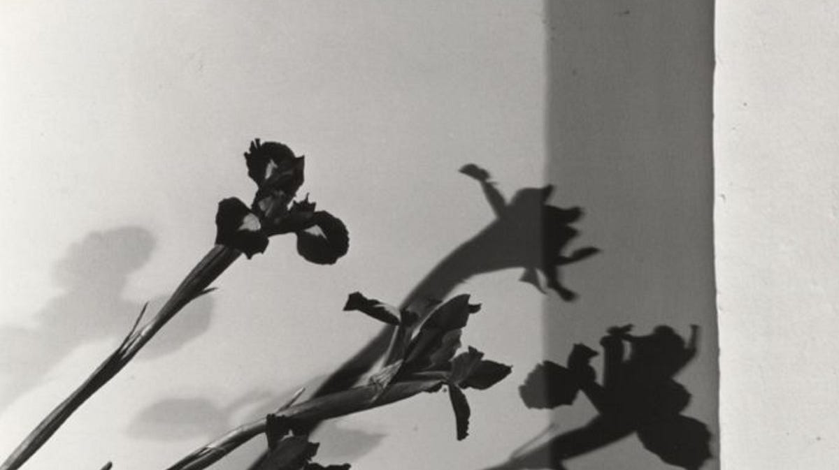 about death, afterwards, and the nothingness left behind | by Dulcet Memoir | Apr, 2024 | Medium