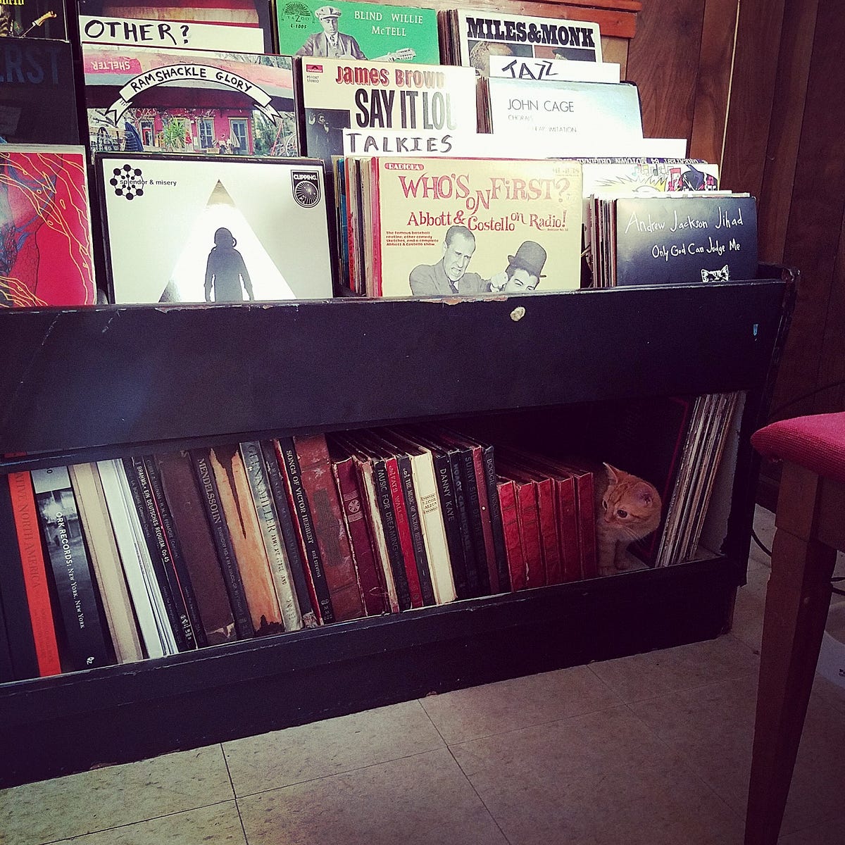 What It Means To Be a Fan of a Thing | by Jason Bombach | Medium