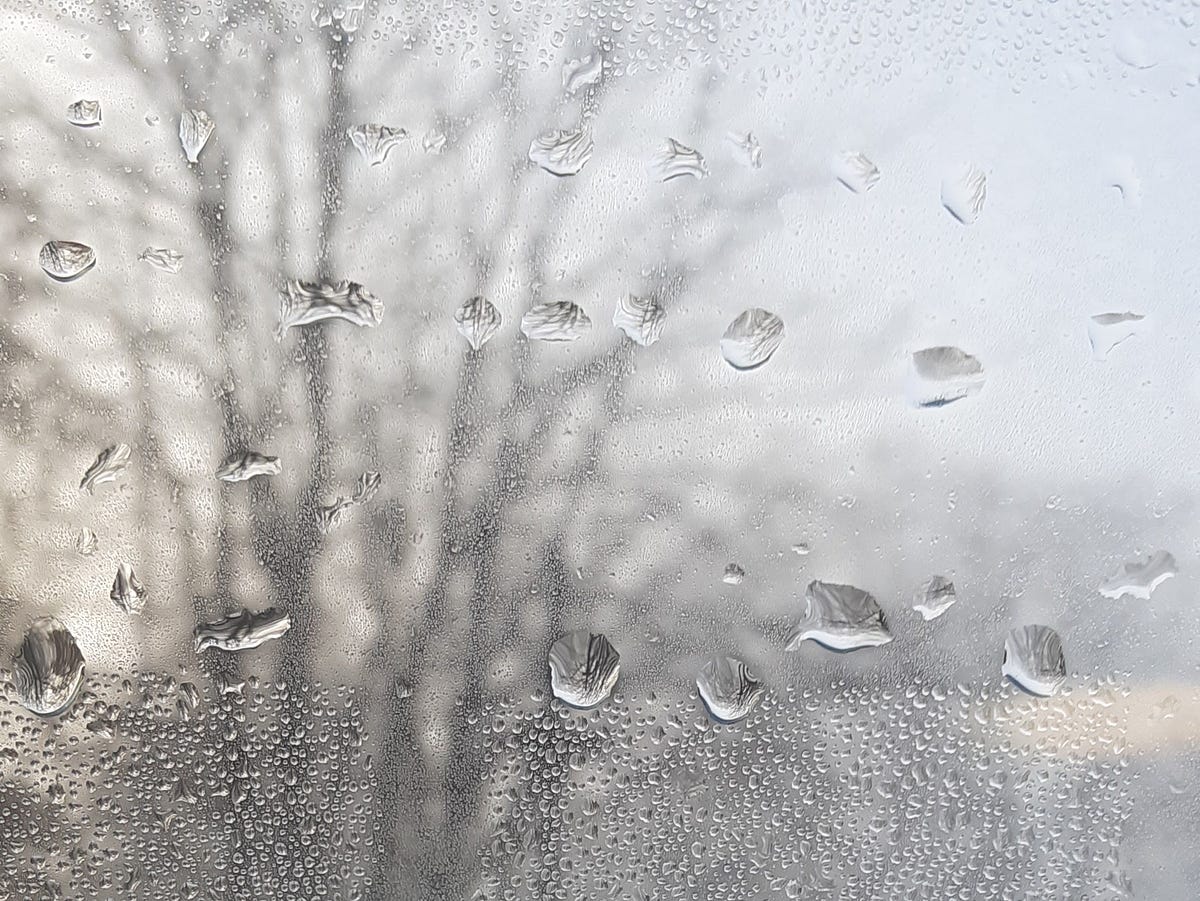 Letter to the mess …. When the world is harsh and… | by Ny Radontsoa ...