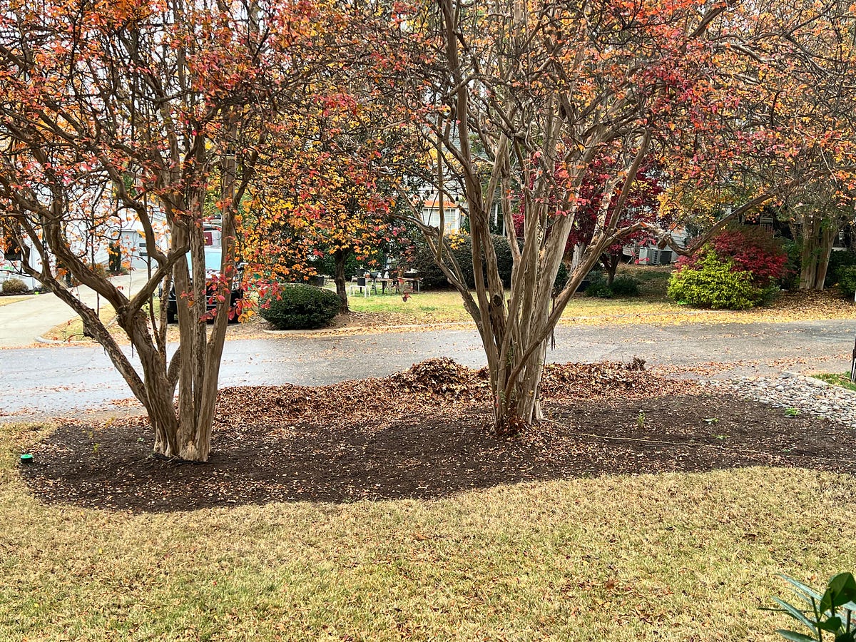 Falling Leaves and Software Bugs: Why You Can’t Catch ‘Em All | by Ryan ...