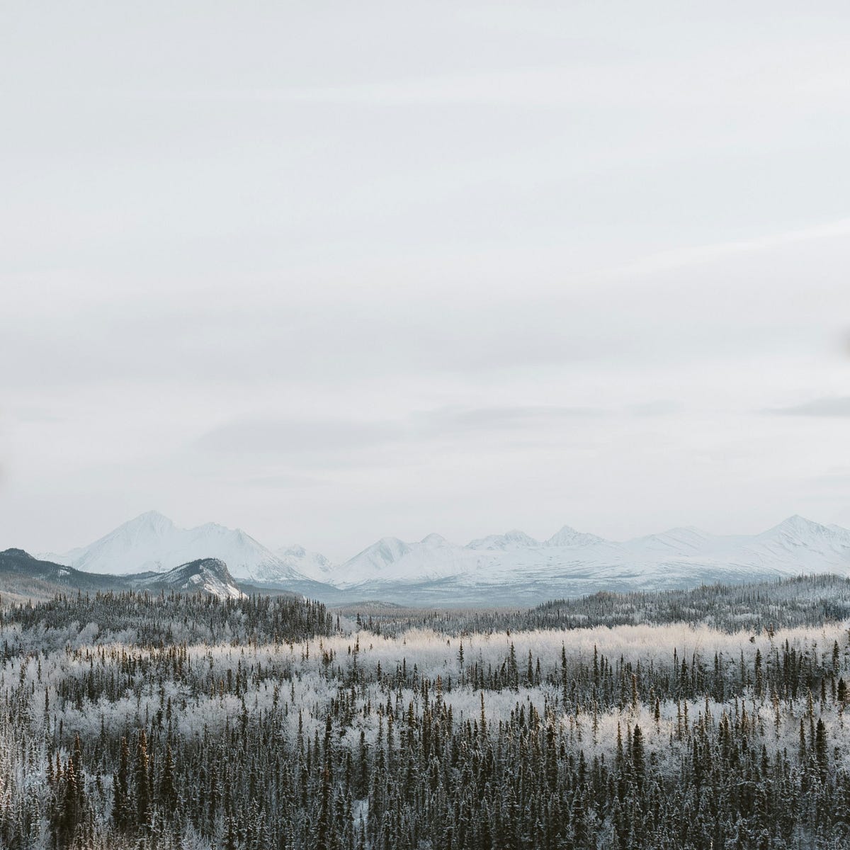 The Curious Thing About Storms. “When you come out of the storm, you… | by Tracey Dahl | Jan ...