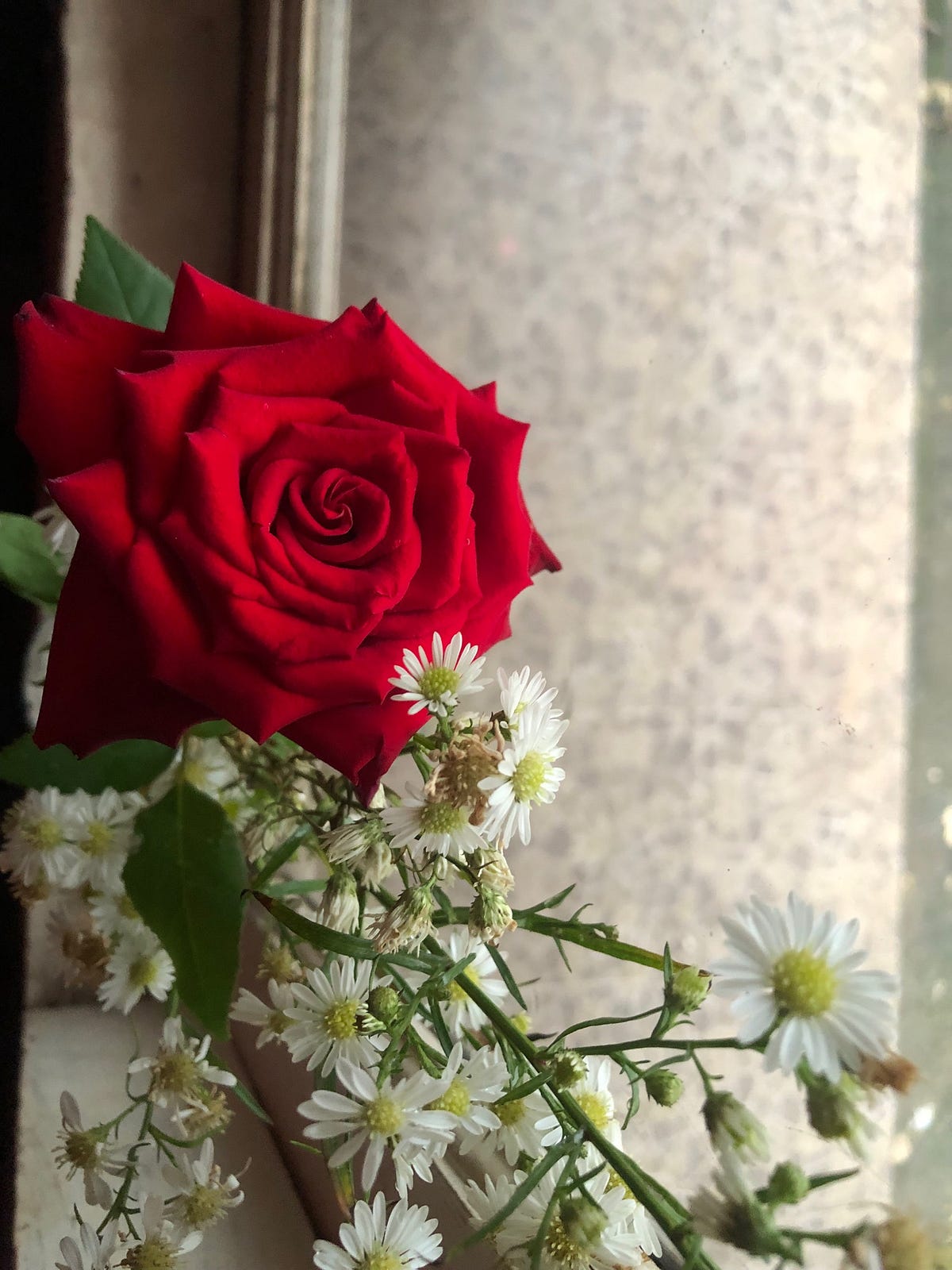 Bunga layu - ell - Medium